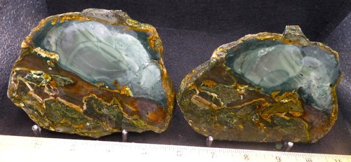 ORCA: Outstanding Blue Mt. Picture Jasper Slab Pair, Oregon | eBay