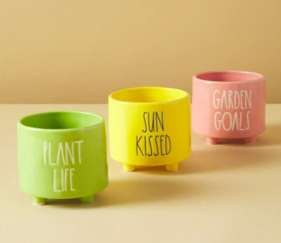 Rae Dunn 3pk Ceramic "Plant Life", "Sun Kissed", "Garden Goals ...