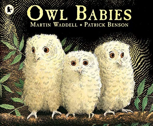 Owl Babies by Martin Waddell 9780744531671| eBay