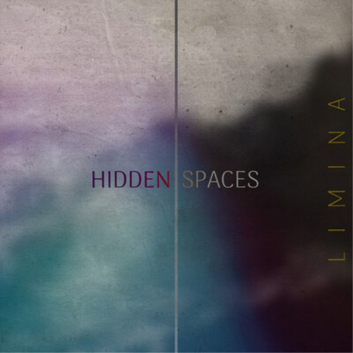 LIMINA Hidden Spaces (Vinyl) 12" Album Coloured Vinyl 684753031247 | eBay