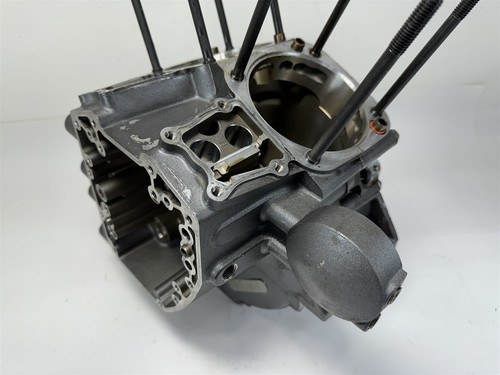 Harley-Davidson 2011 Road Glide CVO Engine Cases Crank Case 110" 24649 ...