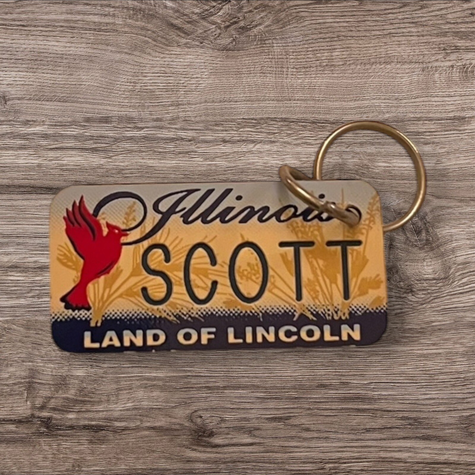SCOTT Name Keychain License Plate Illinois Land of Lincoln Great ...