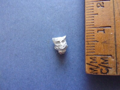 Citadel GW Fanatic Necromunda Redemptionist Head Part Bit Bitz 2004 ...