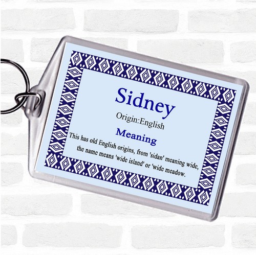 Sidney Name Meaning Bag Tag Keychain Keyring Blue | eBay