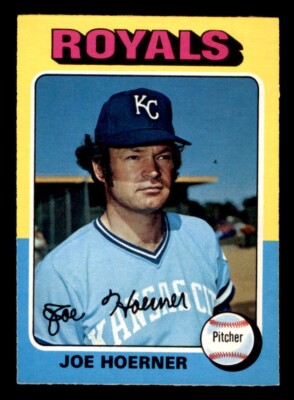 1975 OPC O-Pee-Chee Baseball #629 Joe Hoerner VG/EX | eBay