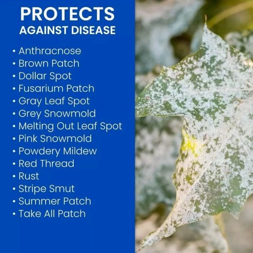 BioAdvanced Fungus Control for Lawns Granules Bayer Prevent Brown Patch ...