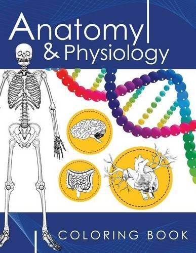 Dr James D Ladner Anatomy & Physiology Coloring Book (Poche ...