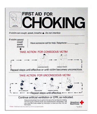 CPR. First Aid for Choking Vintage Red Cross Poster | eBay