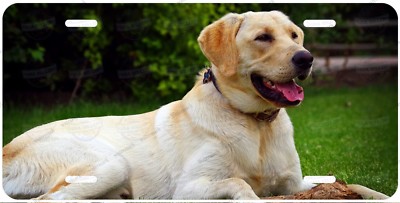 Labrador retriever Yellow Dog License Plate Auto car Bike Motorcycle ...