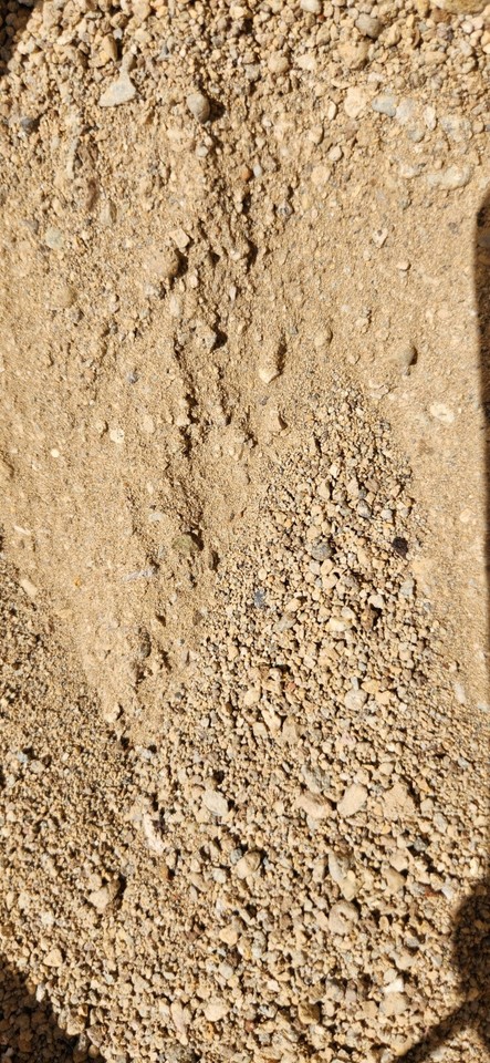 Unsearched Guaranteed Gold Paydirt Comstock Lode Nevada Gold Panning ...