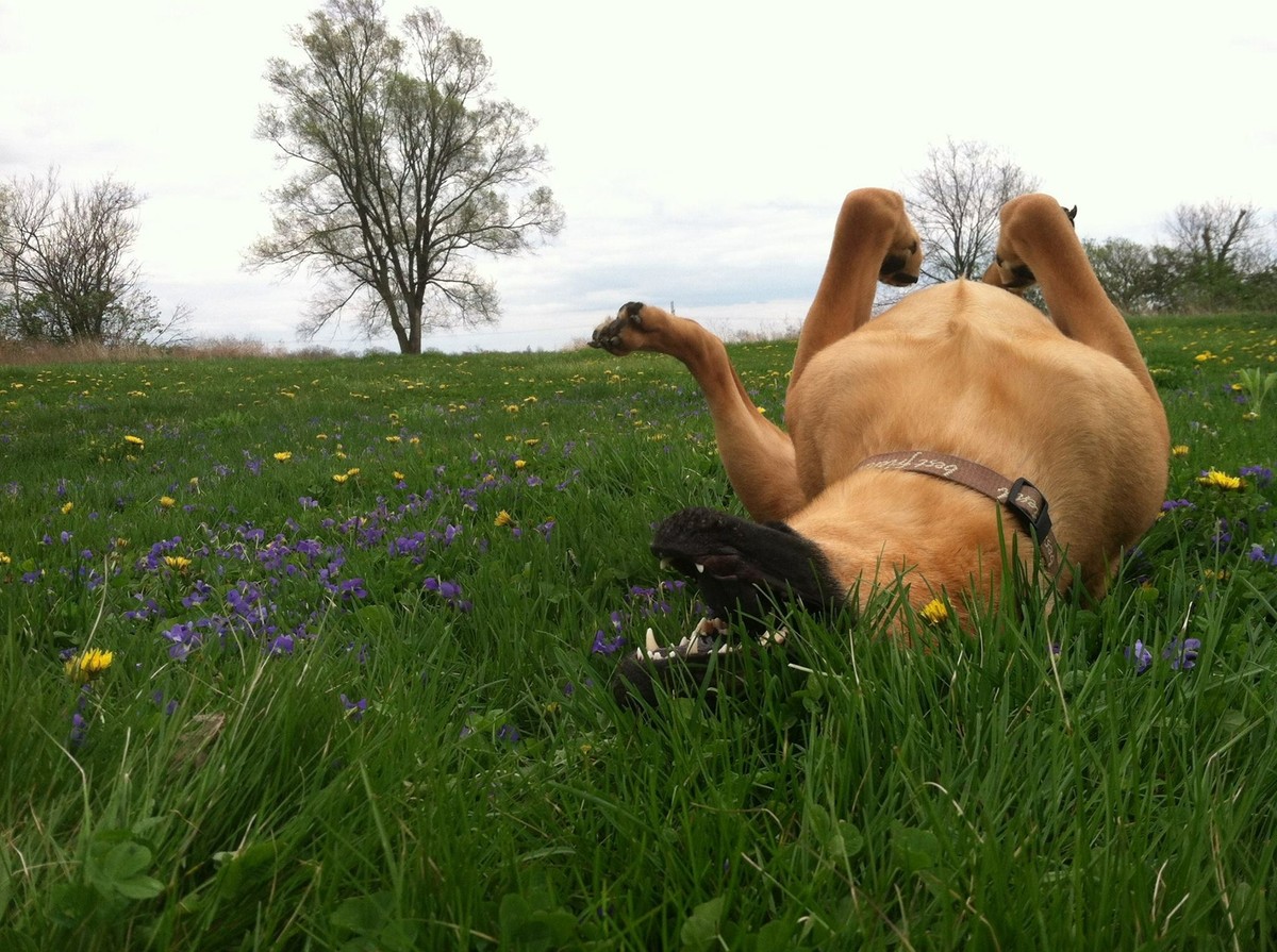 Aisle 99 | eBay Stores