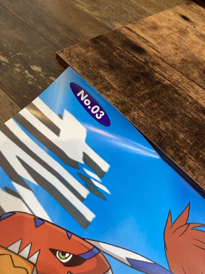 Digimon Adventure Banpresto Character Poster No.3 Sora Piyomon Pyokomon ...