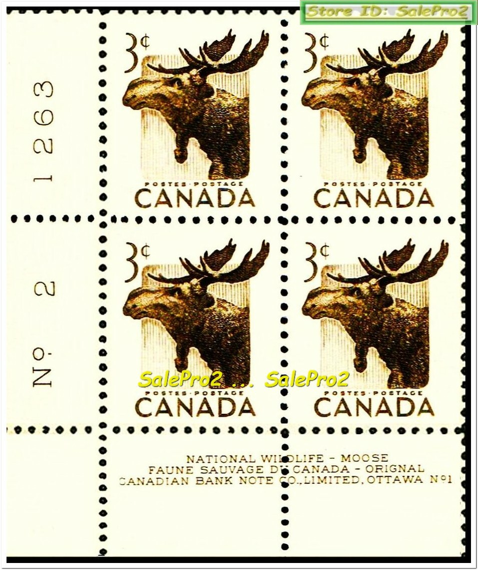 Canadian Caribou Face