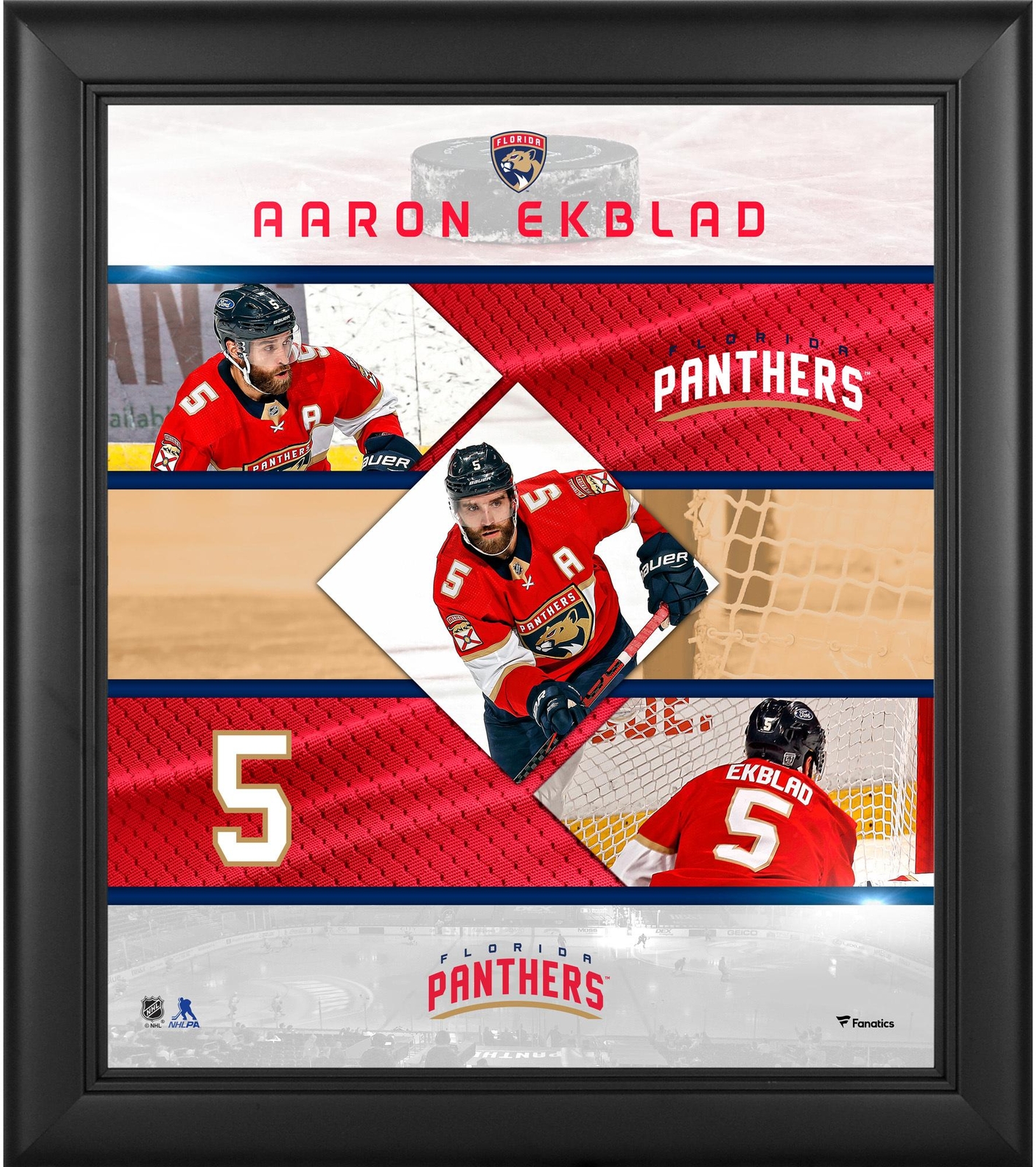 Aaron Ekblad Florida Panthers Framed 15" x 17" Stitched Stars Collage ...