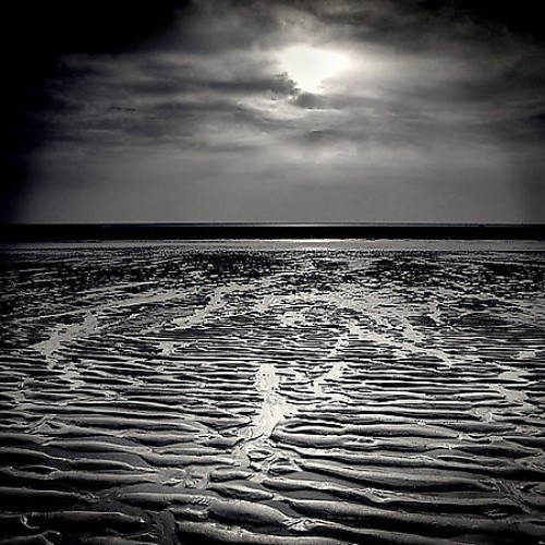 Pajo by Pajo [CD] 781484028925 | eBay