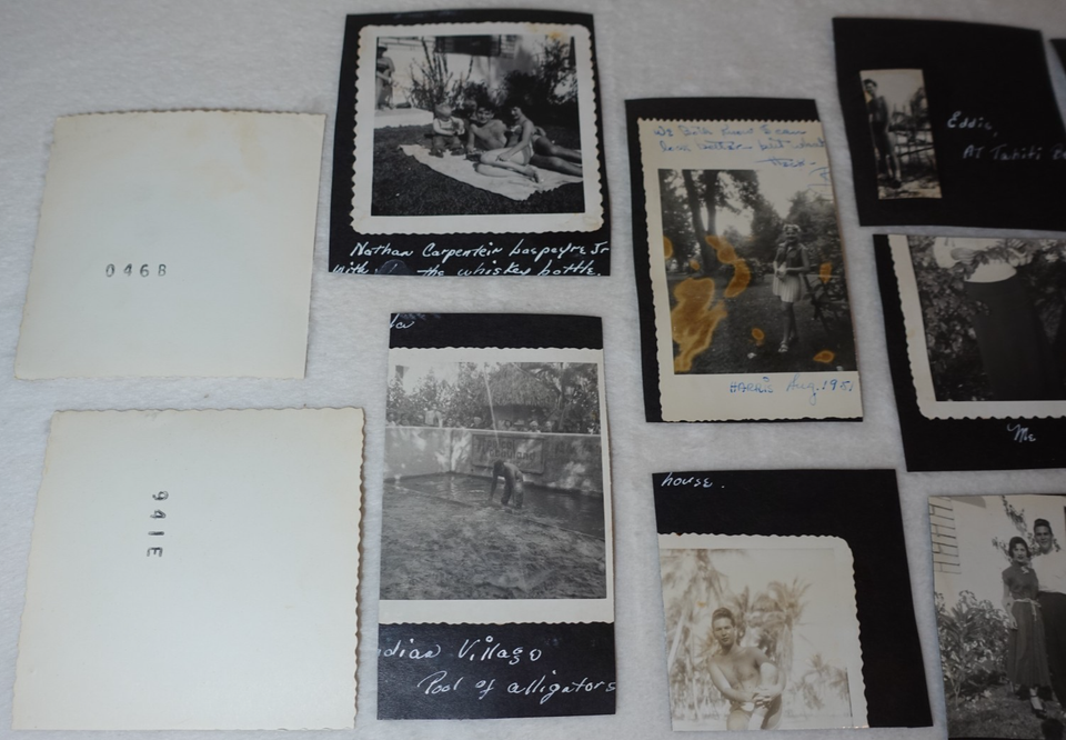 Beautiful Brunette Woman Model Outdoors Posed Vintage Photo Lot - 12 ...