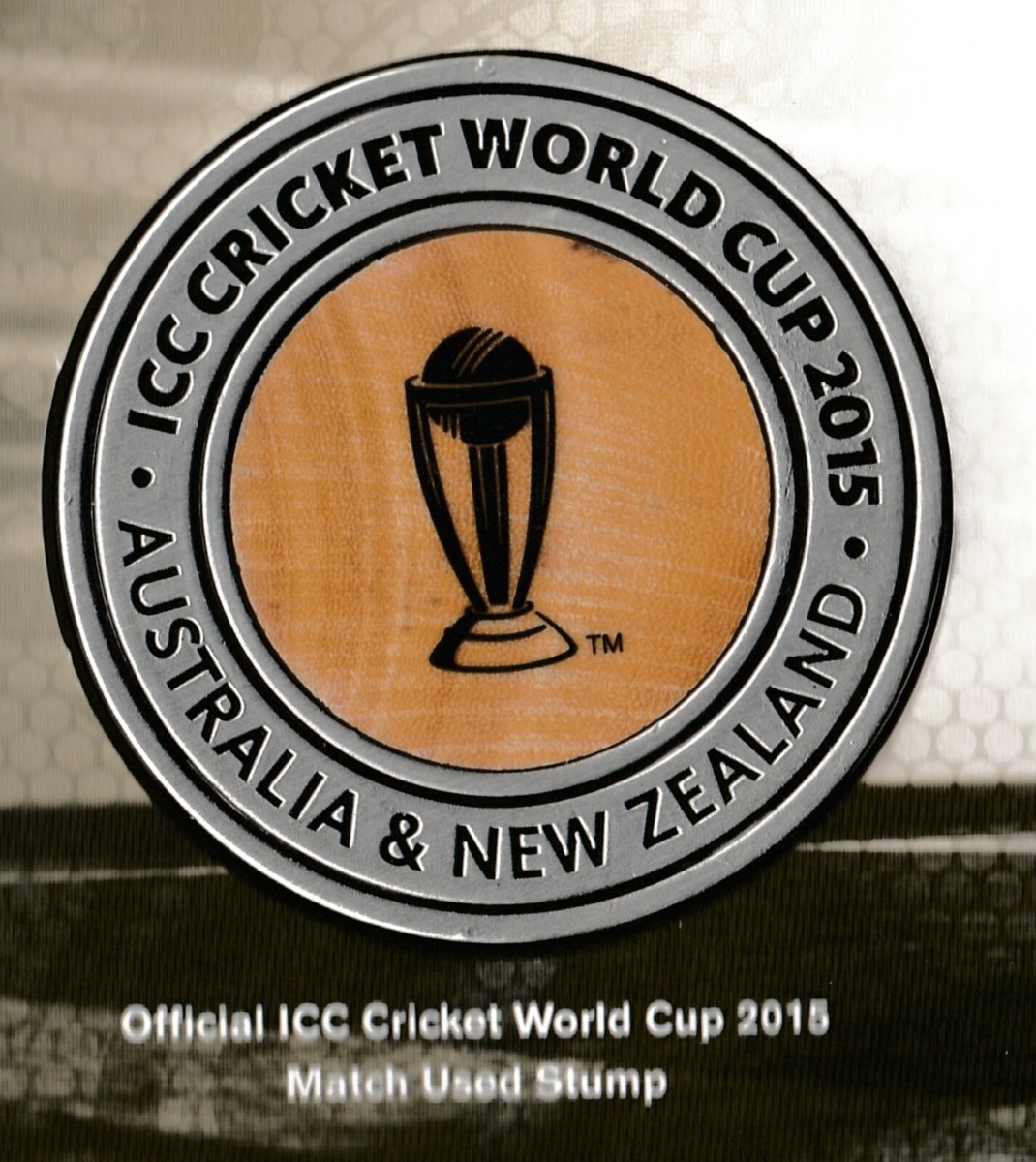 2015 World Cup Cricket Logo
