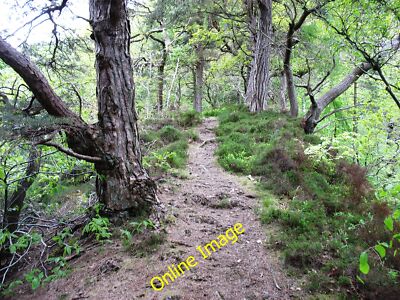 Photo 6x4 The path from Comb Crag Upper Denton c2013 | eBay UK