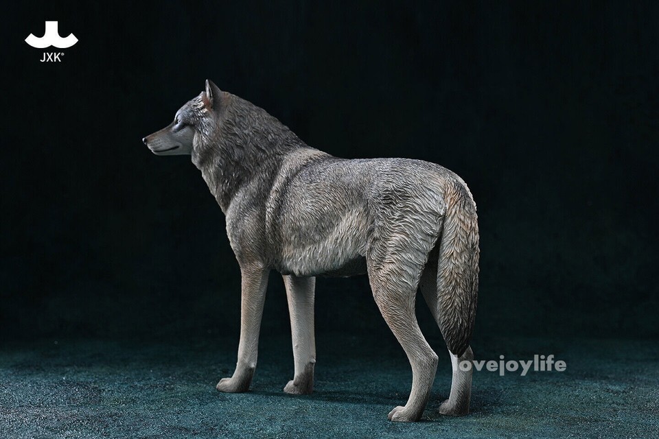 JXK 1/6 Arctic Wolf Model Canis Lupus Arctos Figure Wild Animal ...