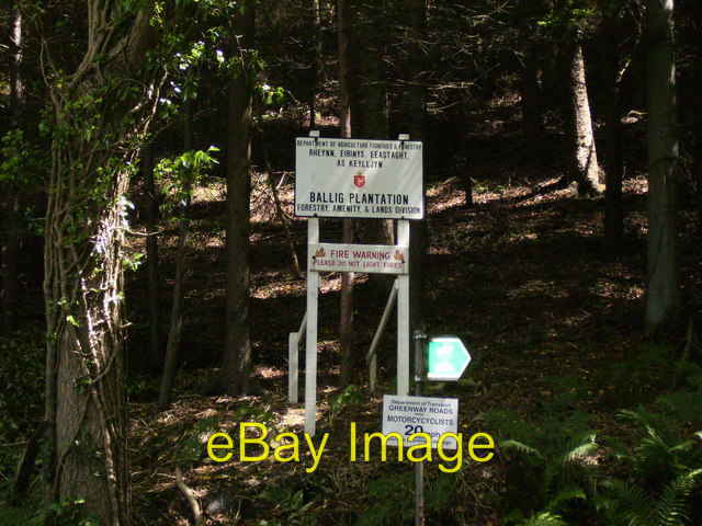 Photo 6x4 Ballig Plantation north of St.John's St John's/SC2781 c2007 ...