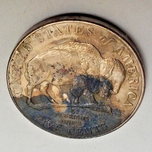 Rare 2005 D Buffalo Nickel Large Spot | eBay