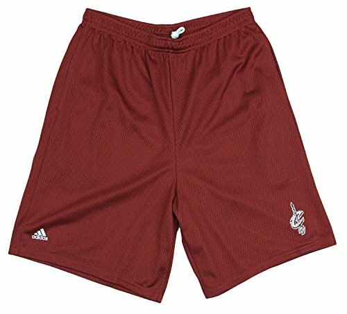 Adidas NBA Men's Cleveland Cavaliers Basketball Mesh Shorts, Wine | eBay