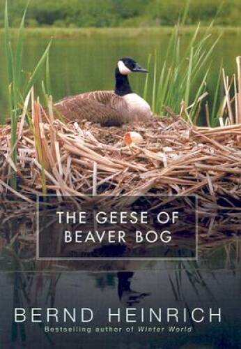 The Geese of Beaver Bog - Hardcover By Bernd Heinrich - GOOD ...