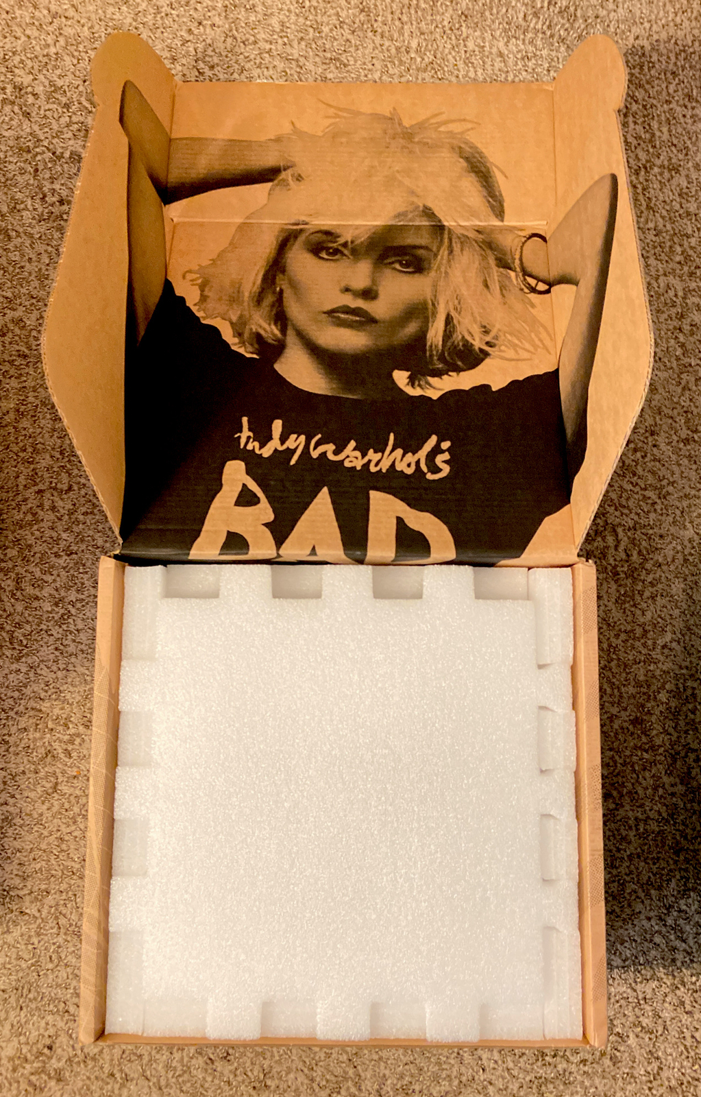 BLONDIE Against The Odds 1974-1982 Box Set /500 Super Deluxe Platinum ...