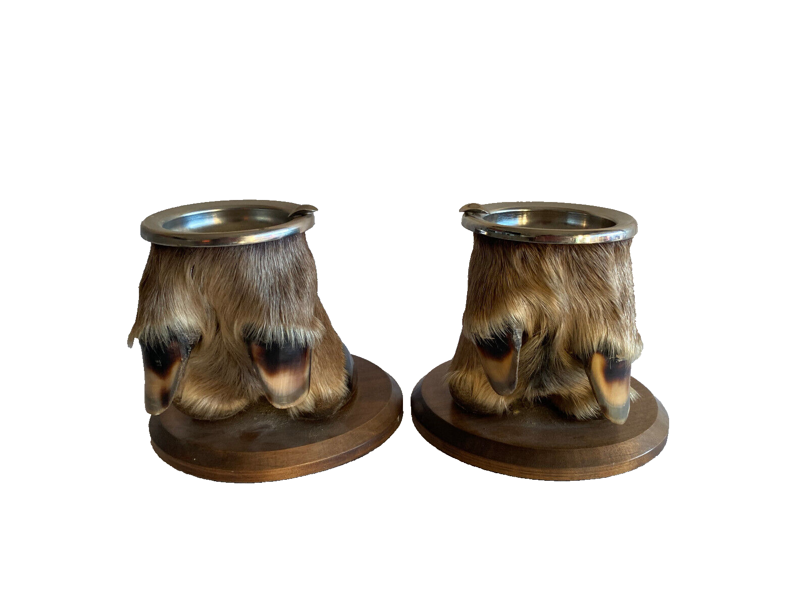 Vintage Moose Hoof Hooves Taxidermy Ashtray Smoking Ashtrays Complete ...