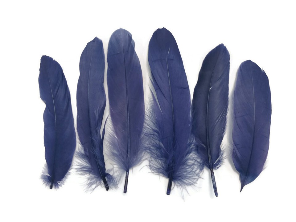 Navy Blue Goose Feathers 6-8" 12 Pc Wedding Millinery Crafts Decoration ...