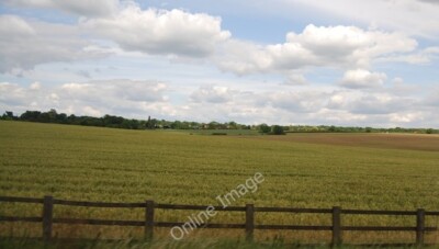 Photo 6x4 Wheat by the M11 Howe Green/TL5118 c2011 | eBay UK