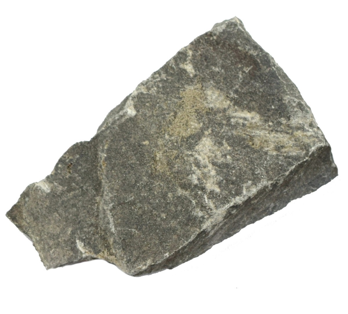 Shale Rocks Shale Learn More About This Common Sedimentary Rock