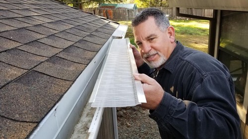 Leafblaster Pro 5" | eBay