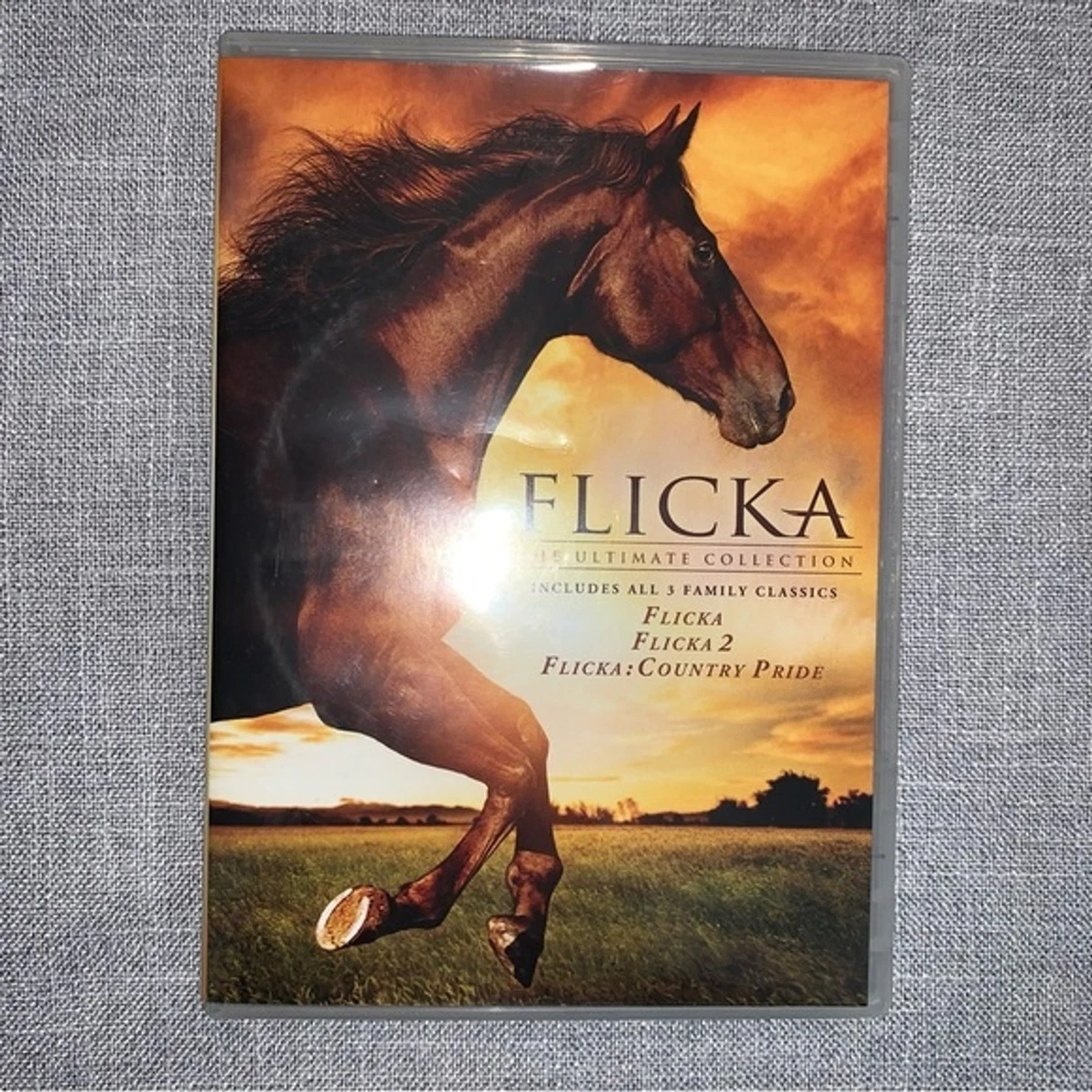 Flicka The Horse