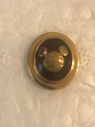 Vintage Disney World Cast Member 5 Year Service Award Pin - Ruby Globe ...