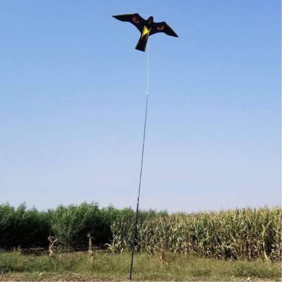 Black Flying Hawk Kite Bird Scarer For Garden Scarecrow Yard House Home ...