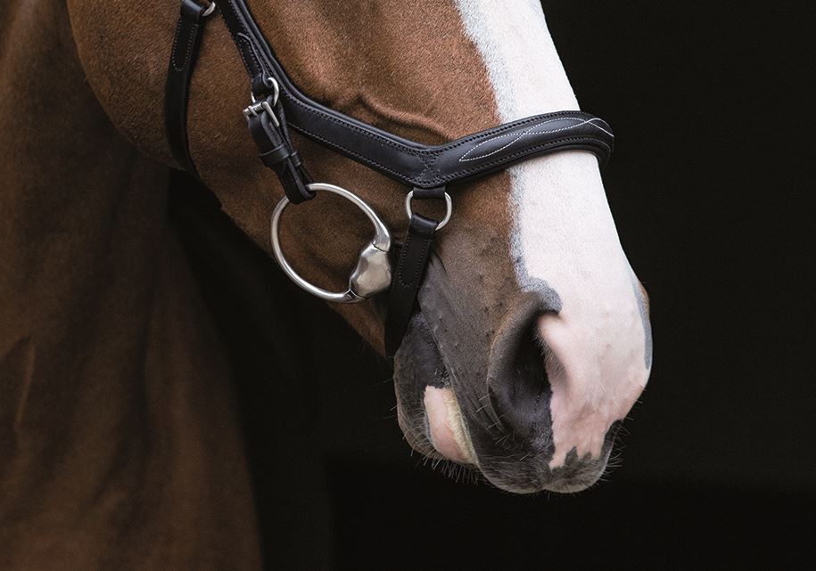 Horseware Rambo Micklem Bit Straps Spare Strap Attach Bit To The ...