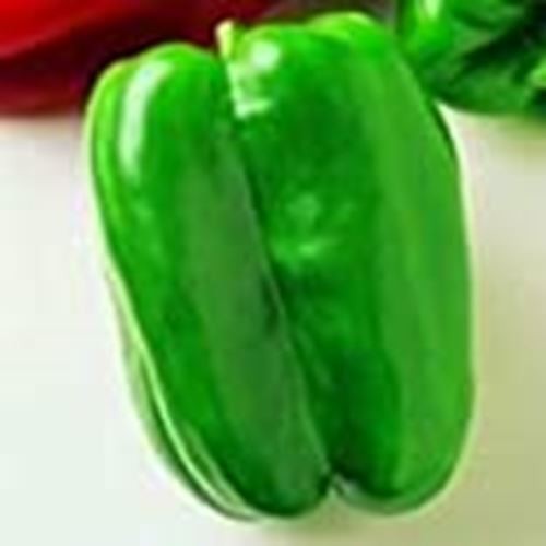 Goliath Sweet Peppers Seeds (((25 Seed Packet))) (More Heirloom ...