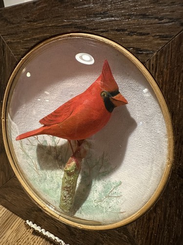 William Reinbold Carved Cardinal Diorama - Domed Glass Frame 1960s | eBay