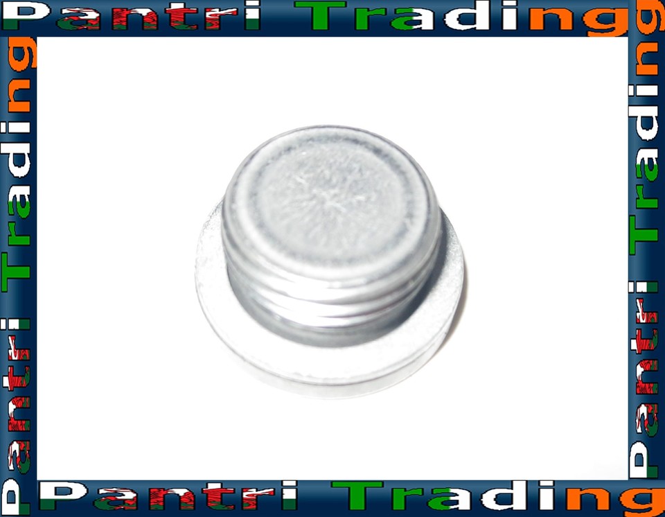 BMW Oil Drain/Filler Plug Screw Bolt M18x1.5x9mm 11317502048 New ...