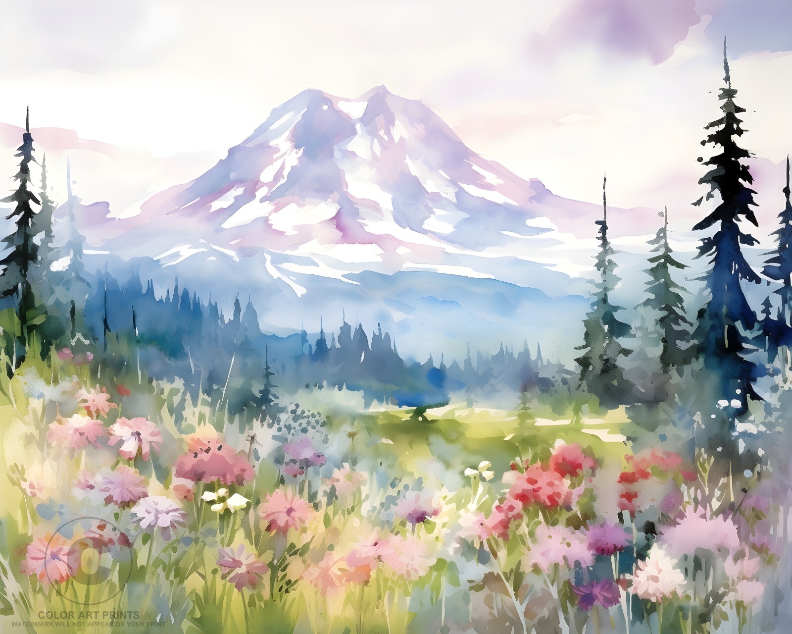 Mount Rainer National Park Spring Wildflower Washington Giclée Art ...