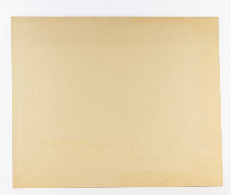 STEPHEN GAYFORD, THE WOLF, ANIMAL STUDY, ORIGINAL ACRYLIC PAINTING ...