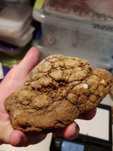 #15 1lb 15oz Unopened Geode Lapidary Crystal Chalcedony Agate Quartz ...