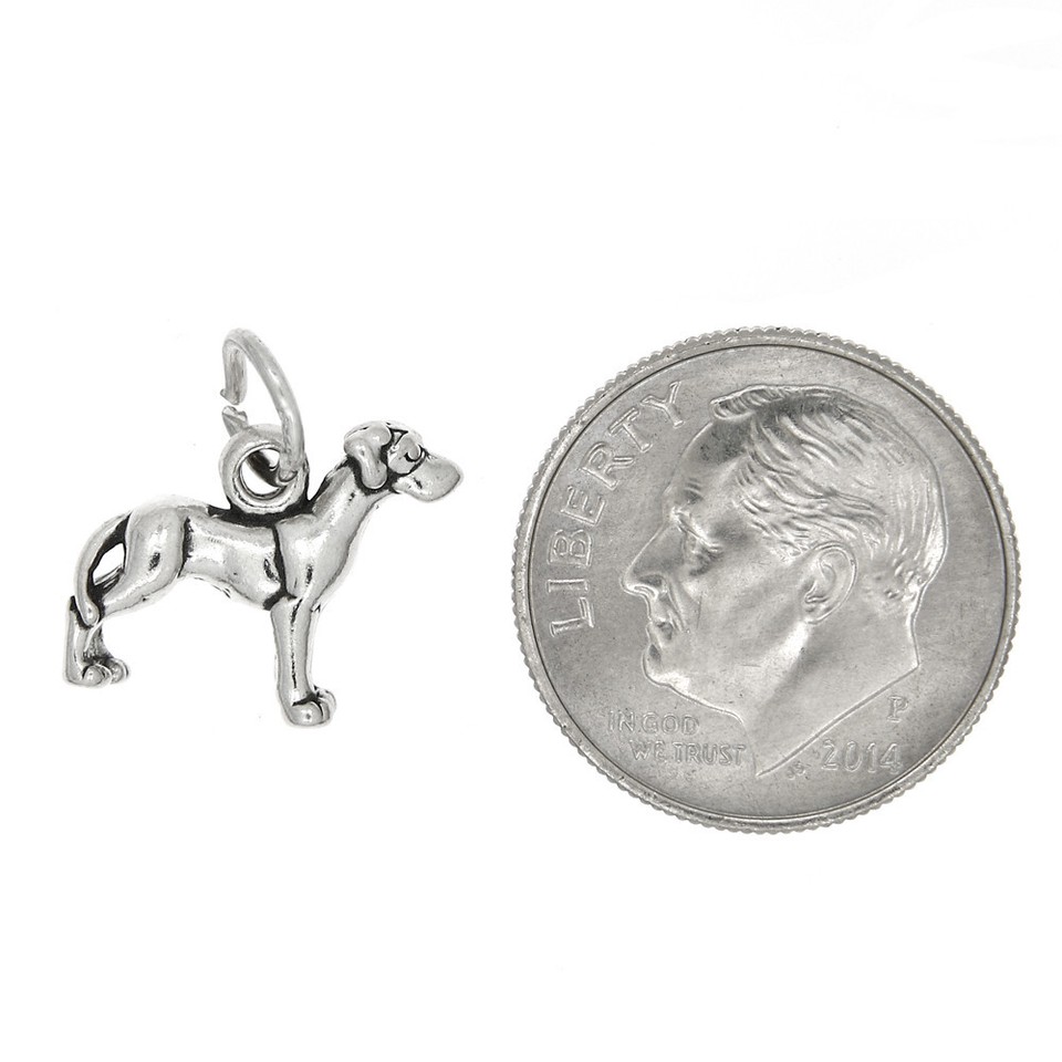 Sterling Silver Small 3D Great Dane Puppy Dog Charm or Pendant | eBay