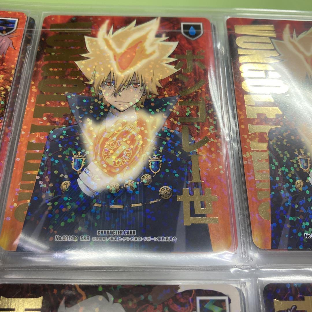 Katekyo Hitman Reborn Giotto Katekyou Hitman Reborn, Giotto, Vongola