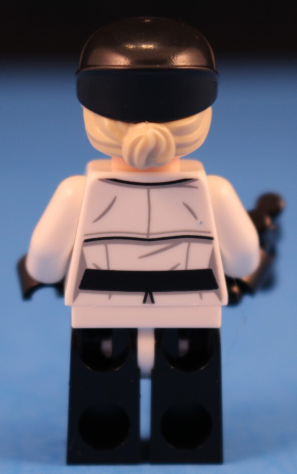 100% LEGO® STAR WARS 75399 U-Wing Starfighter DEDRA MEERO ISB Officer ...