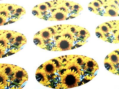 Sunflower Oval Seal Labels, Stickers for Gift Wrap, Envelopes, Bags or ...