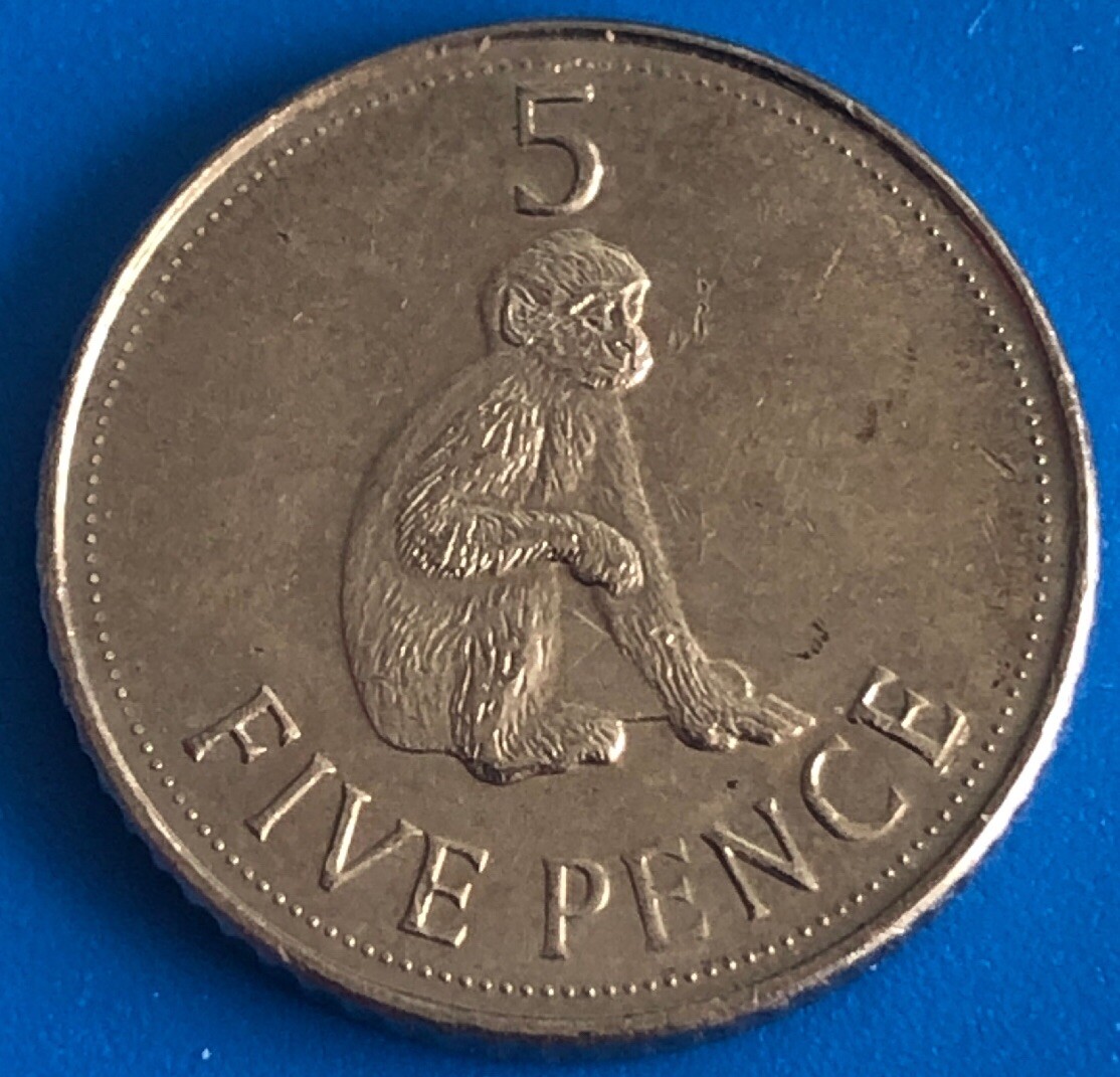 2011 Gibraltar 5p Five Pence Coin - Barbary Macaque Monkey, or Rock Ape ...