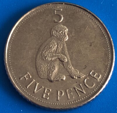 2011 Gibraltar 5p Five Pence Coin - Barbary Macaque Monkey, or Rock Ape ...