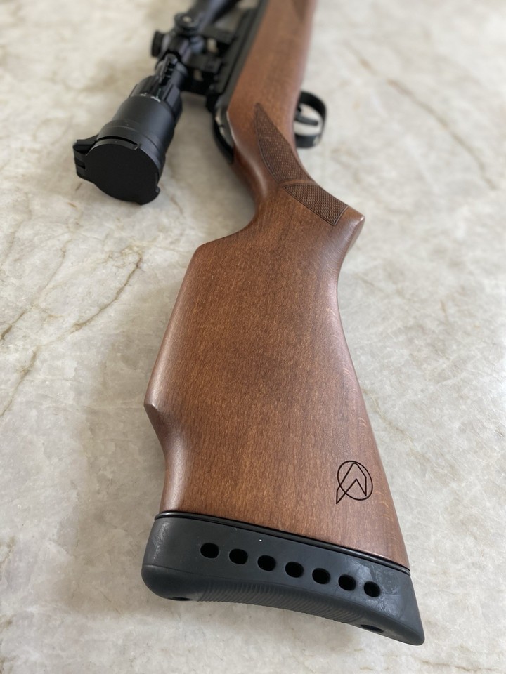 Gaming Swarm Hunter .22 10-Shot Break Barrel Pellet Rifle + Scope, In ...